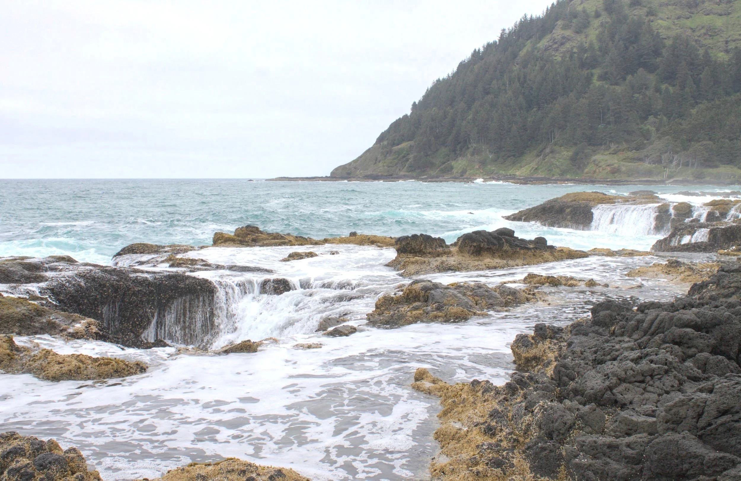 18 Fun Things to Do in Yachats, Oregon — Pines and Vines