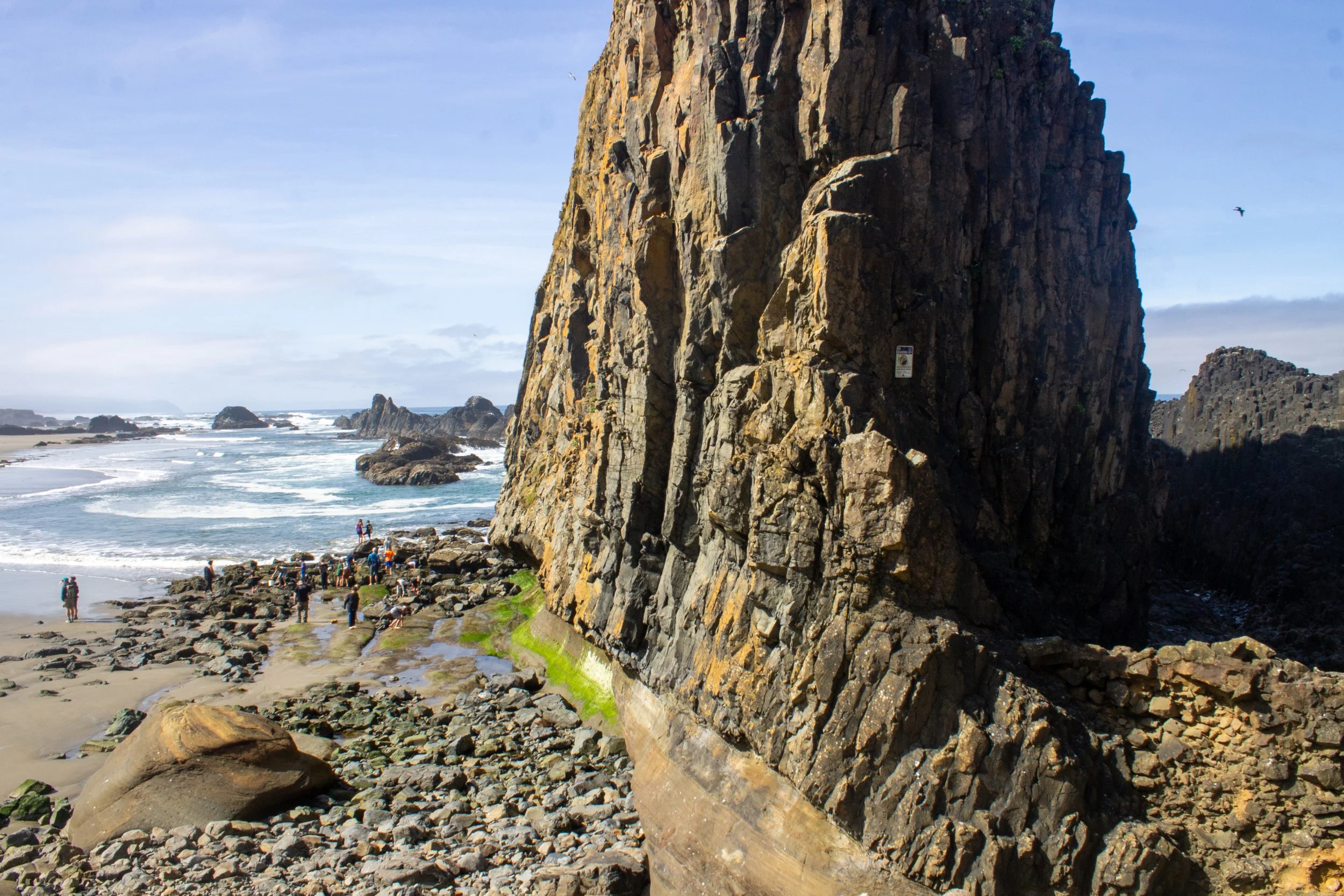 How to Visit Seal Rock State Recreation Site — Pines and Vines