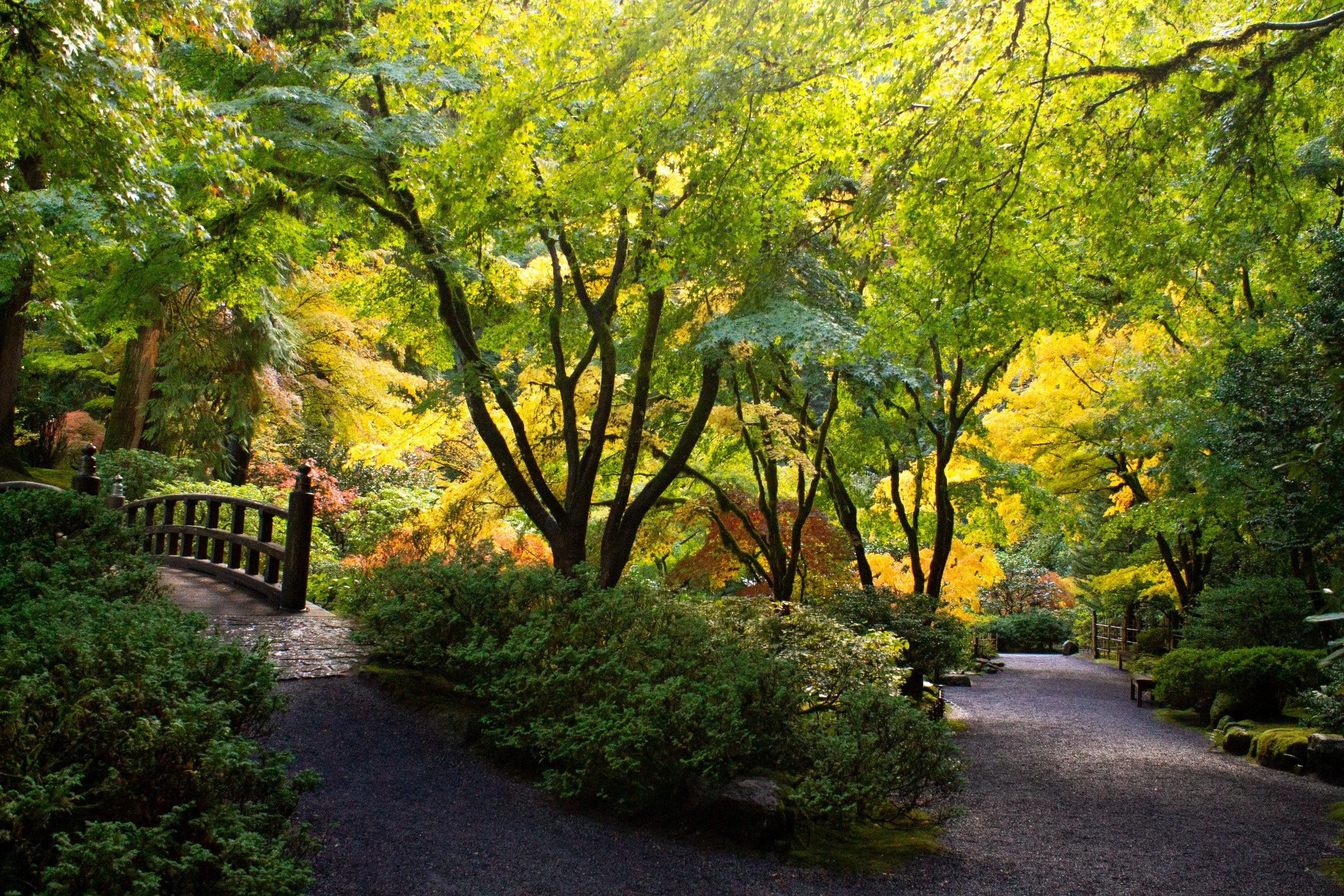 Quick Guide to the Portland Japanese Garden — Pines and Vines
