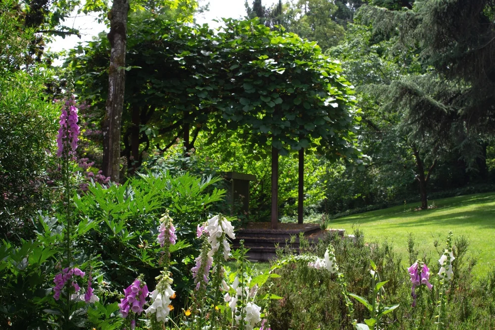 Portland’s 10 Most Beautiful Gardens — Pines and Vines