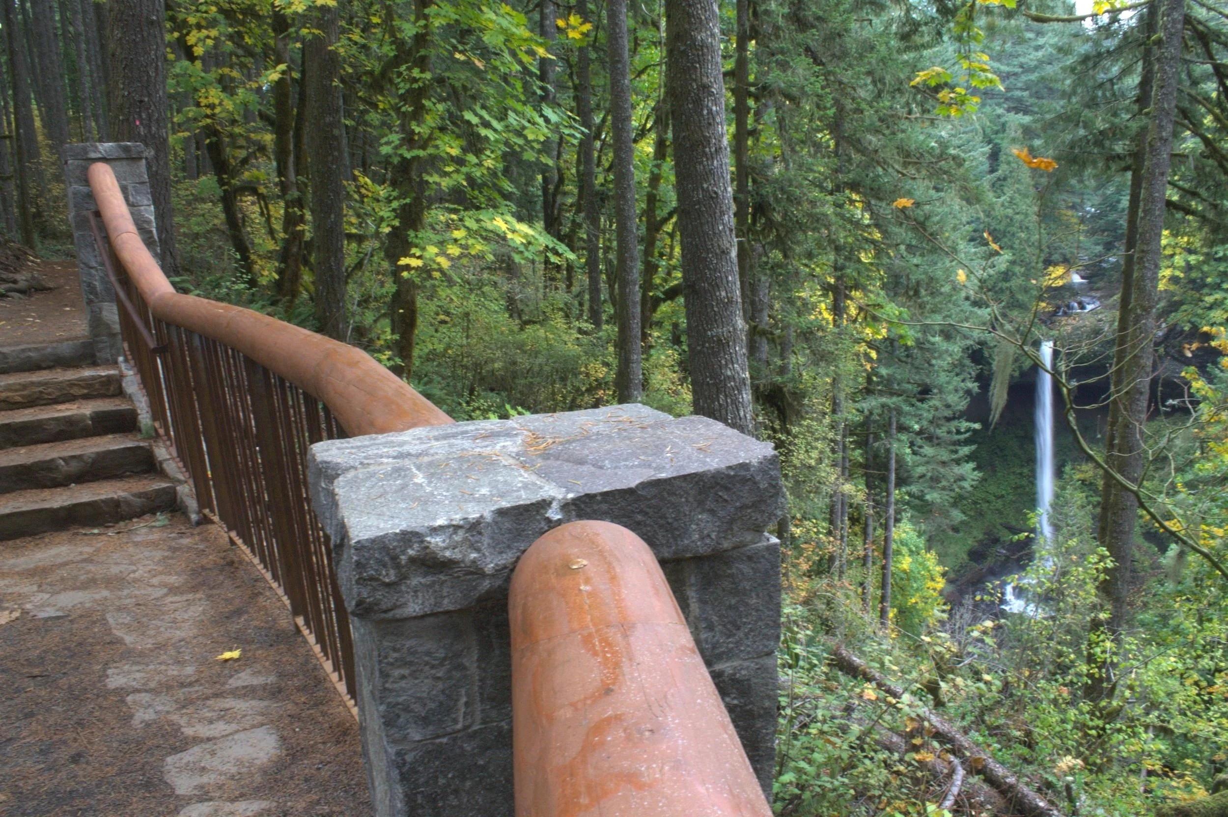 Hike the New North Rim Trail at Silver Falls State Park — Pines and Vines
