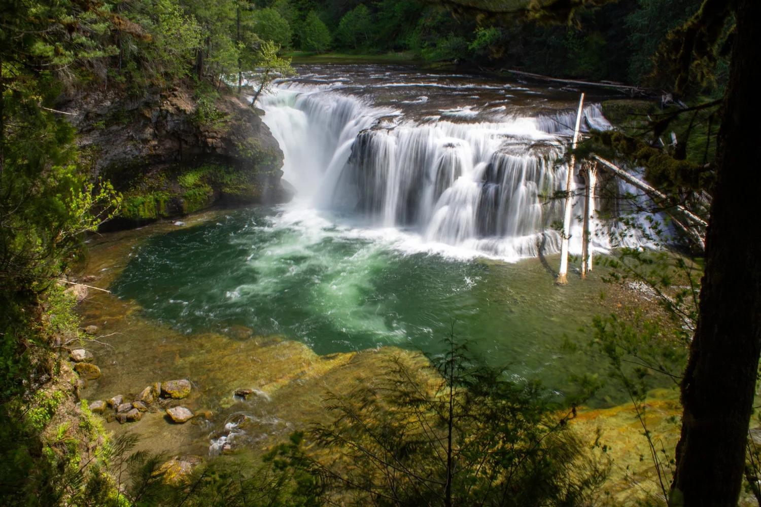 The Lewis River’s Magnificent Waterfalls — Pines and Vines