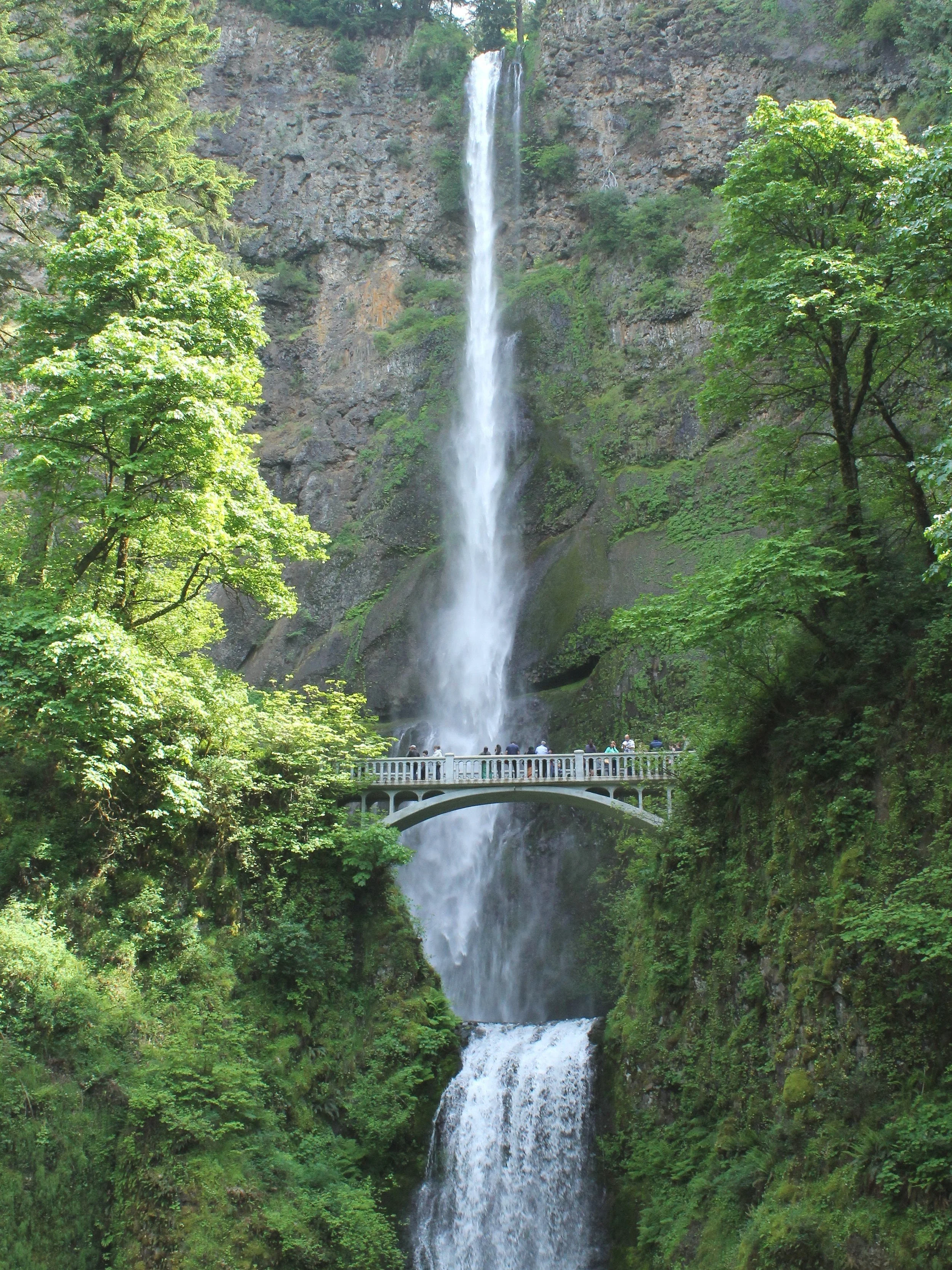 10 Great Waterfall Hikes near Multnomah Falls — Pines and Vines