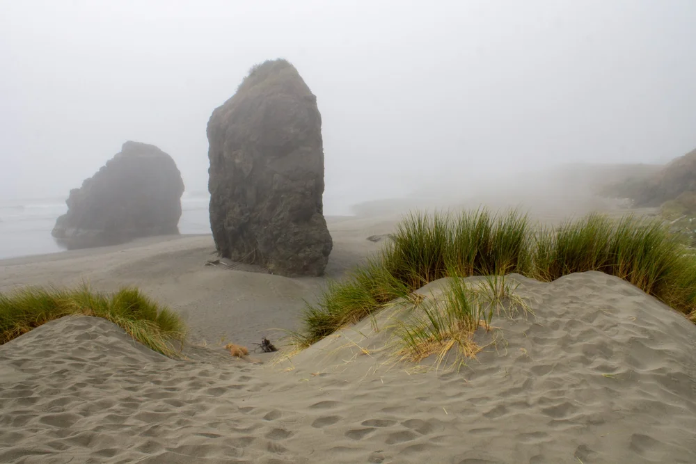 12 Best Stops in the Samuel Boardman Scenic Corridor — Pines and Vines