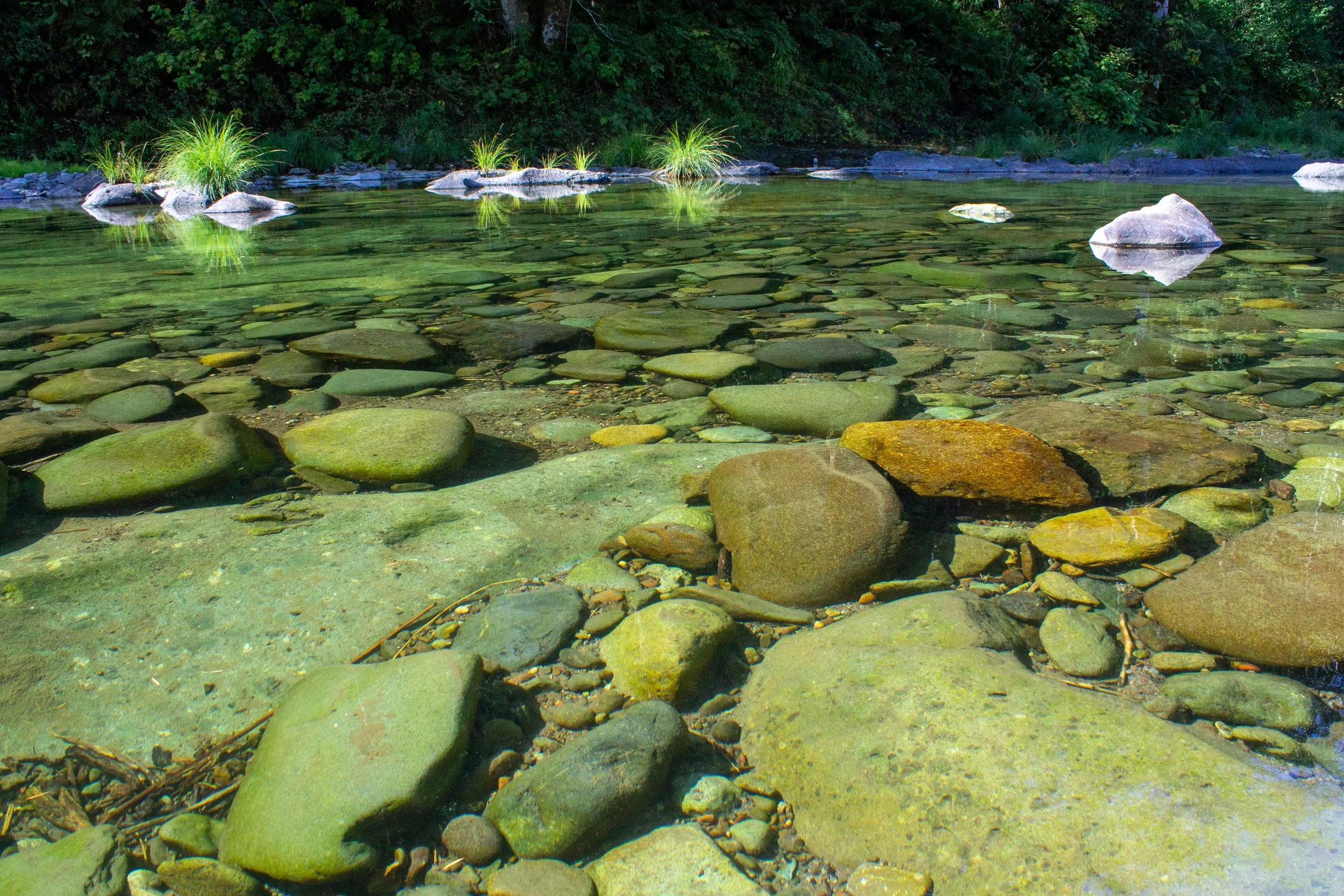 Quick Guide to Visiting Dougan Falls — Pines and Vines