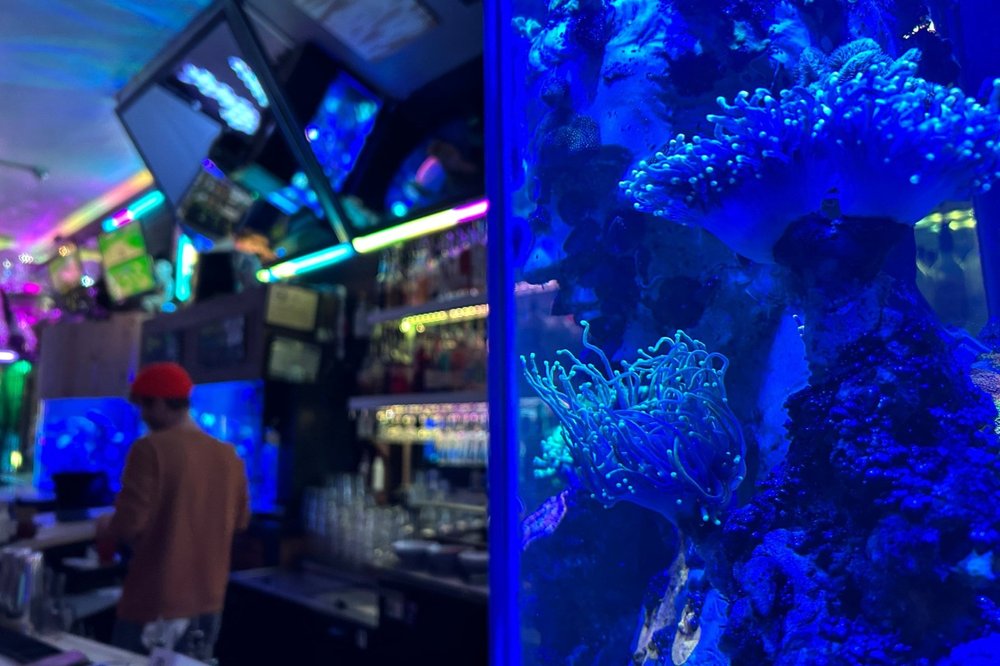 10 Coolest Themed Bars in Portland — Pines and Vines