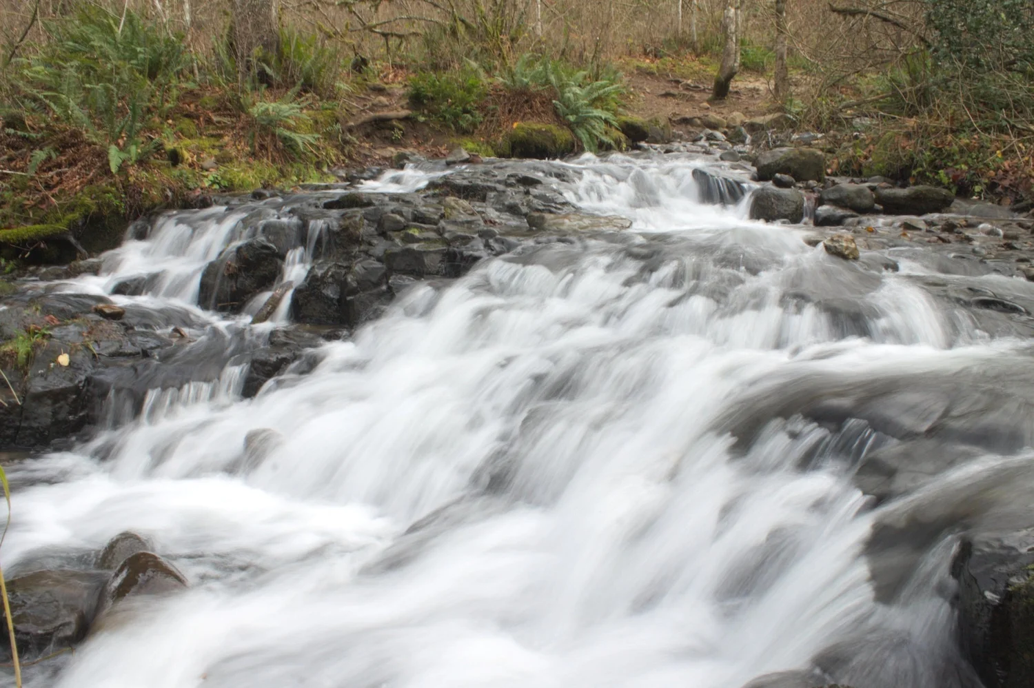 Hike to Angel’s Rest — Pines and Vines