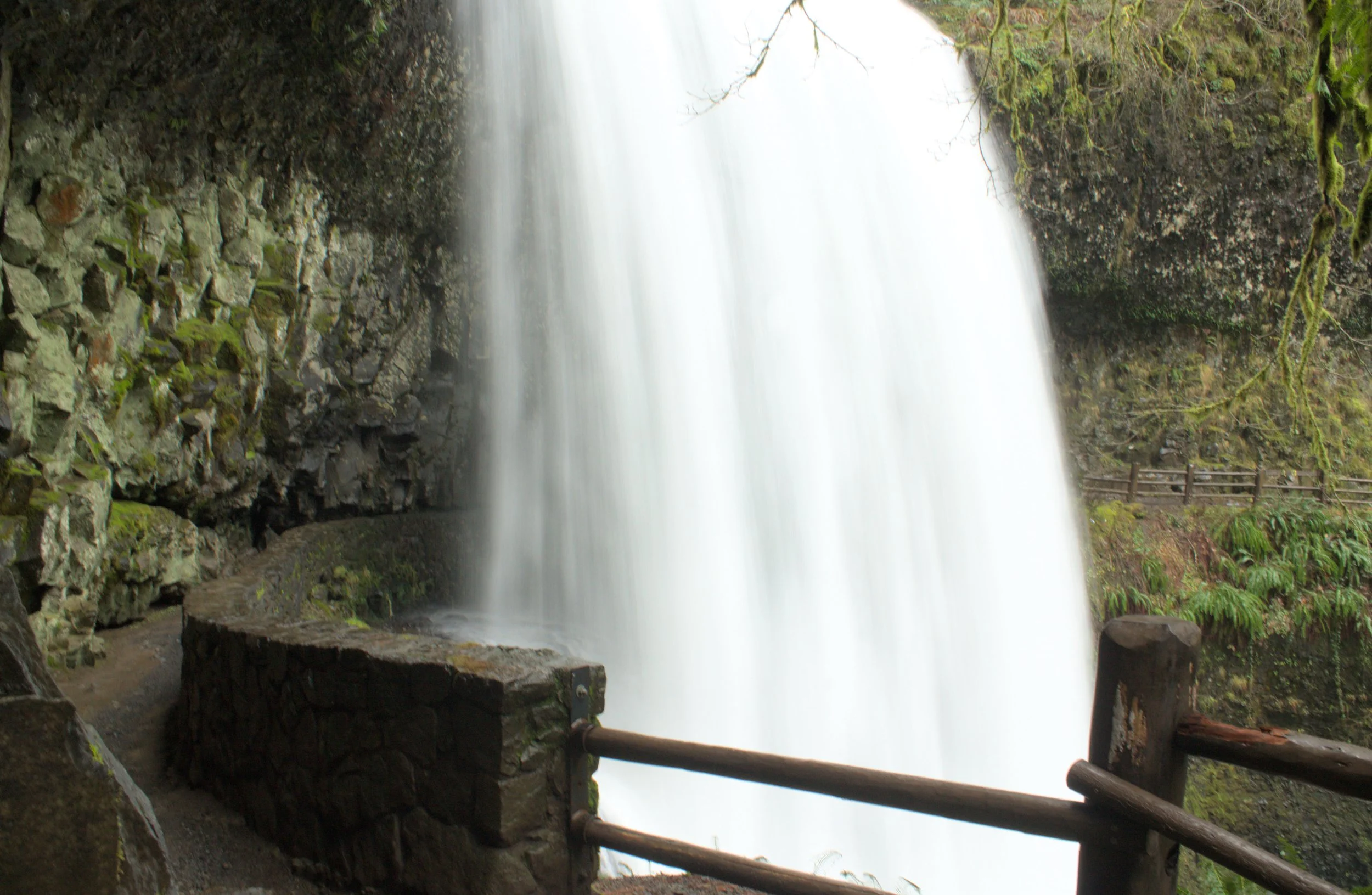 7 Incredible Waterfall Hikes at Silver Falls State Park — Pines and Vines