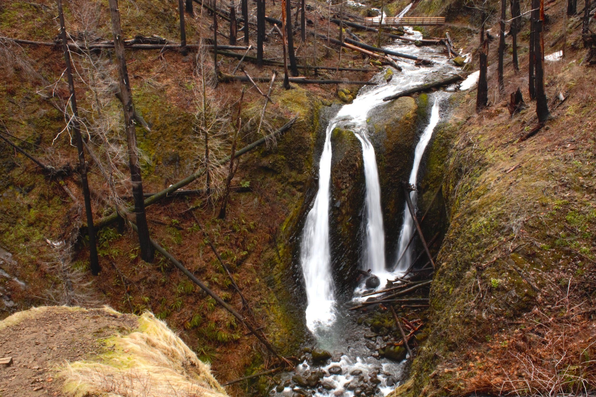 Hike from Horsetail Falls to Triple Falls in the Columbia Gorge — Pines and Vines — Pines and Vines