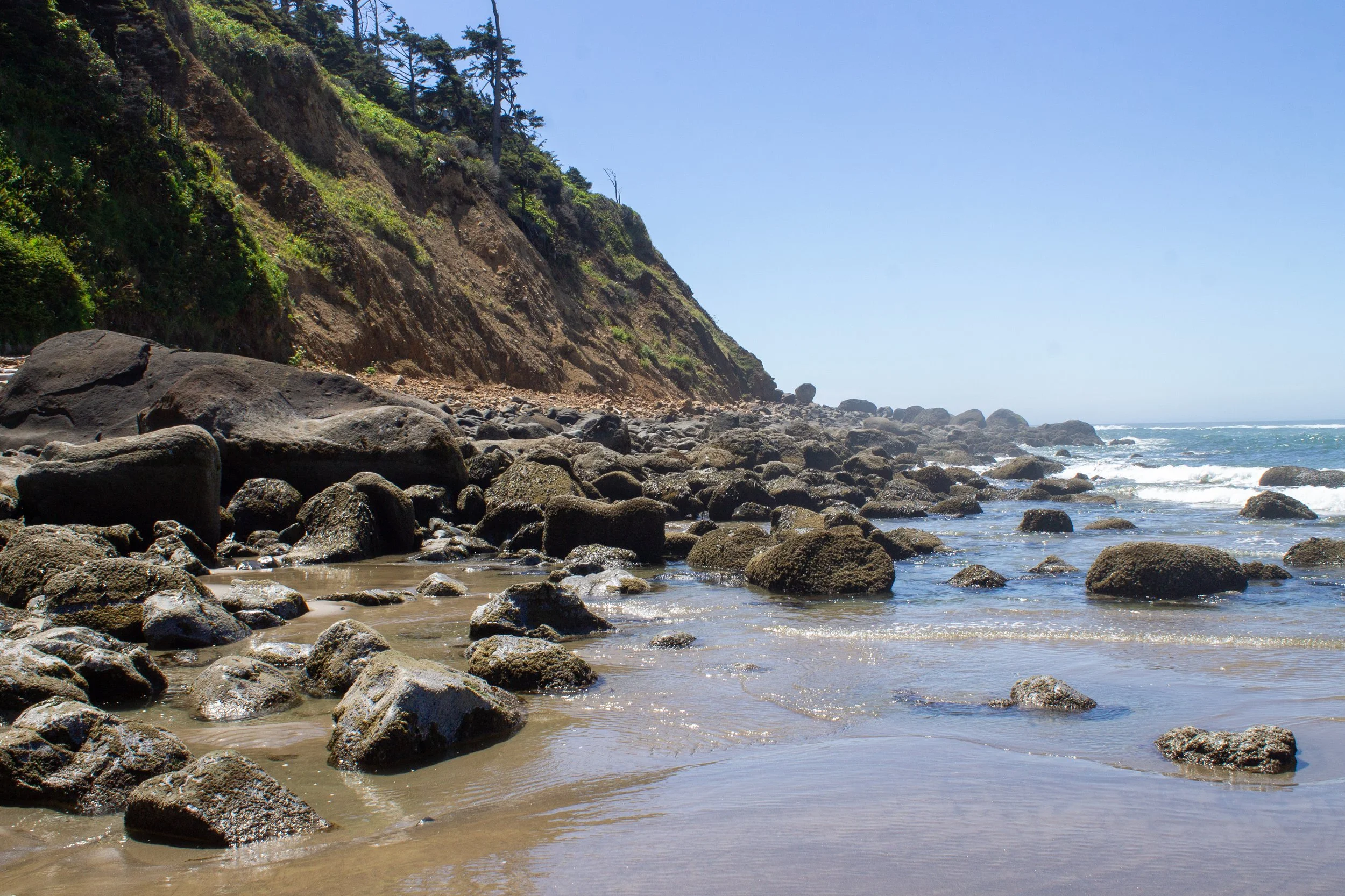 How to Find Cove Beach, a Secret Beach near Manzanita, OR — Pines and Vines