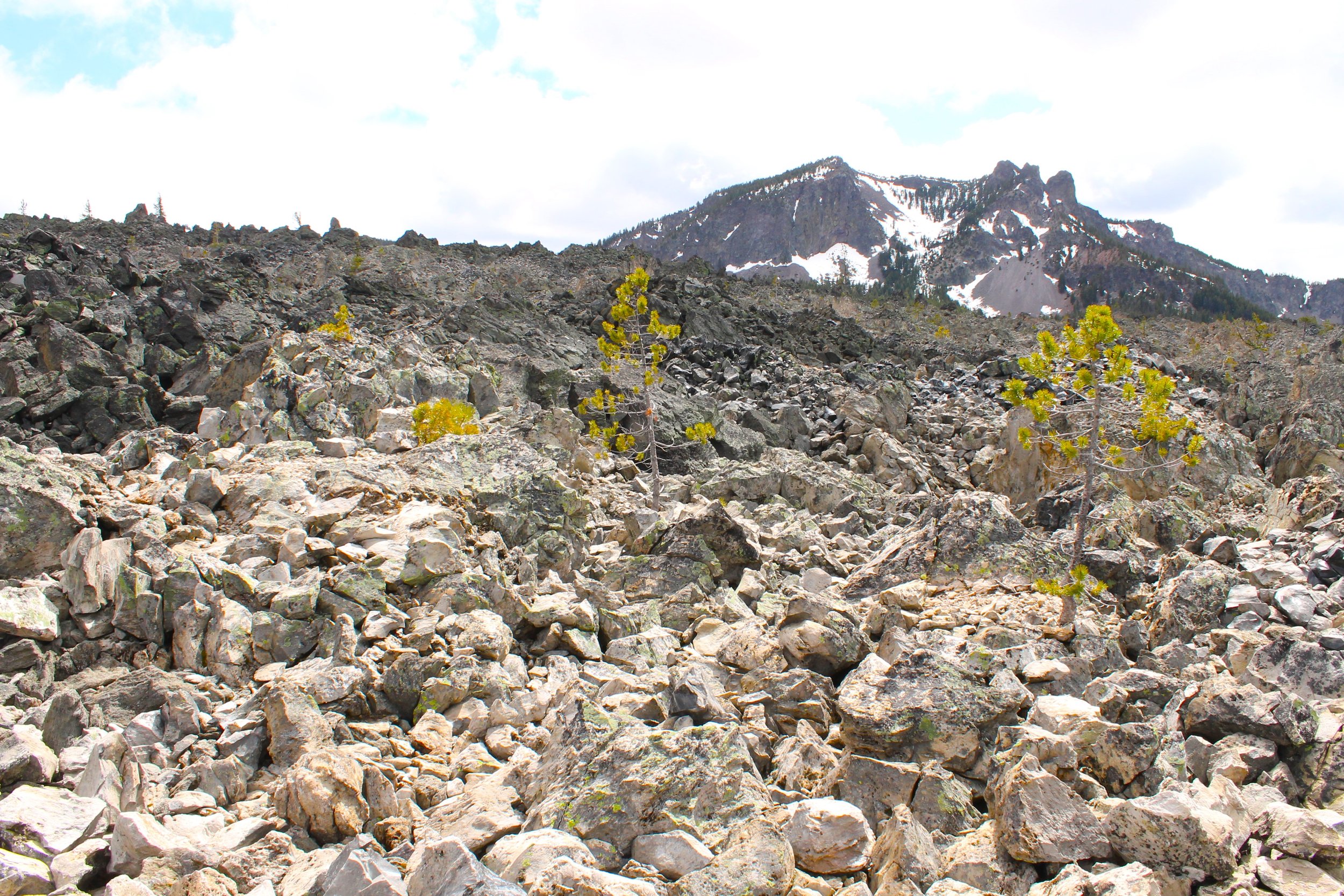 9 Fun Things to Do at Newberry Volcanic National Monument — Pines and ...