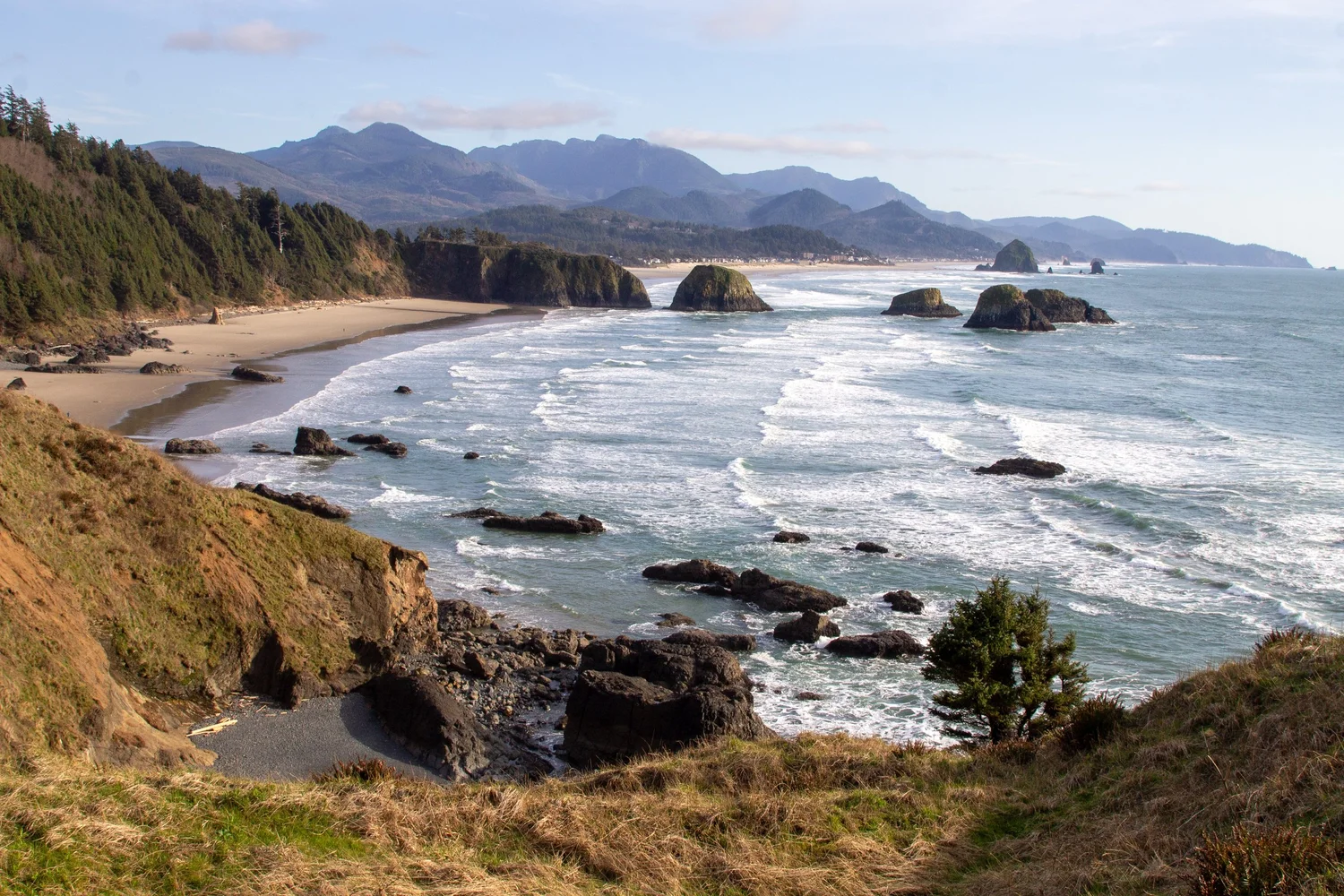 Quick Guide to Ecola State Park — Pines and Vines