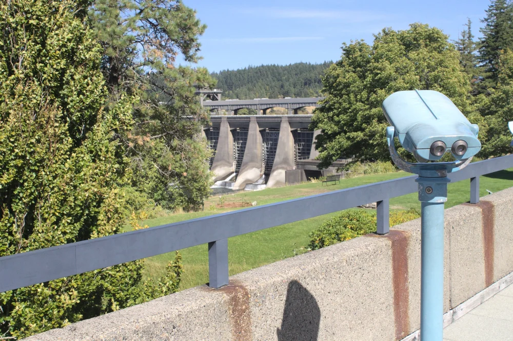 How to Watch the Salmon Migrate at Bonneville Dam — Pines and Vines