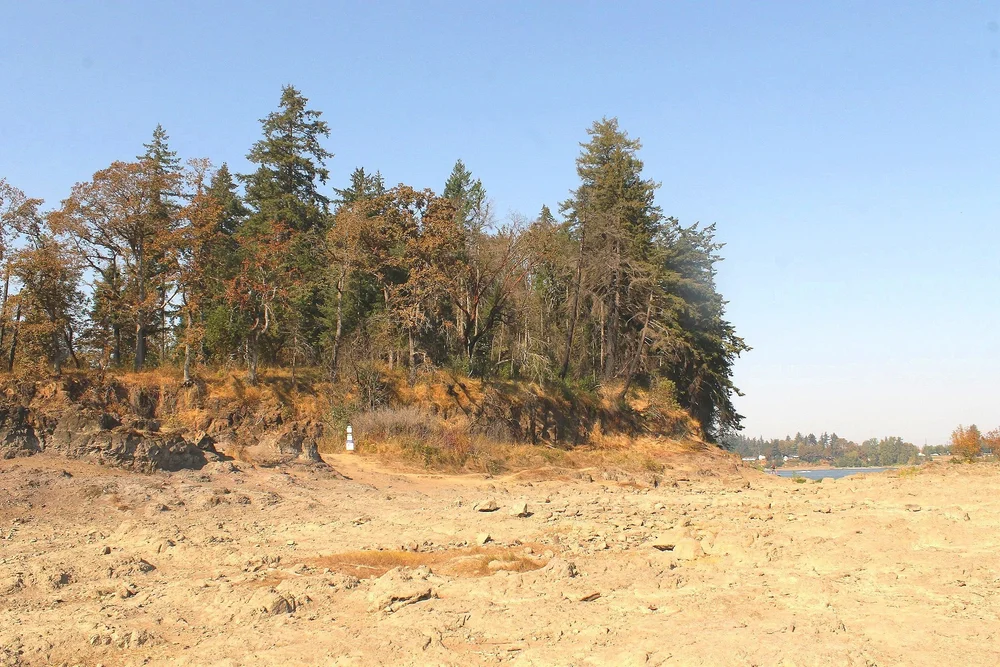 Portland's Magnificent Elk Rock Island — Pines and Vines