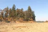 Portland's Magnificent Elk Rock Island — Pines and Vines