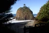 How to Find Short Beach on the Oregon Coast — Pines and Vines