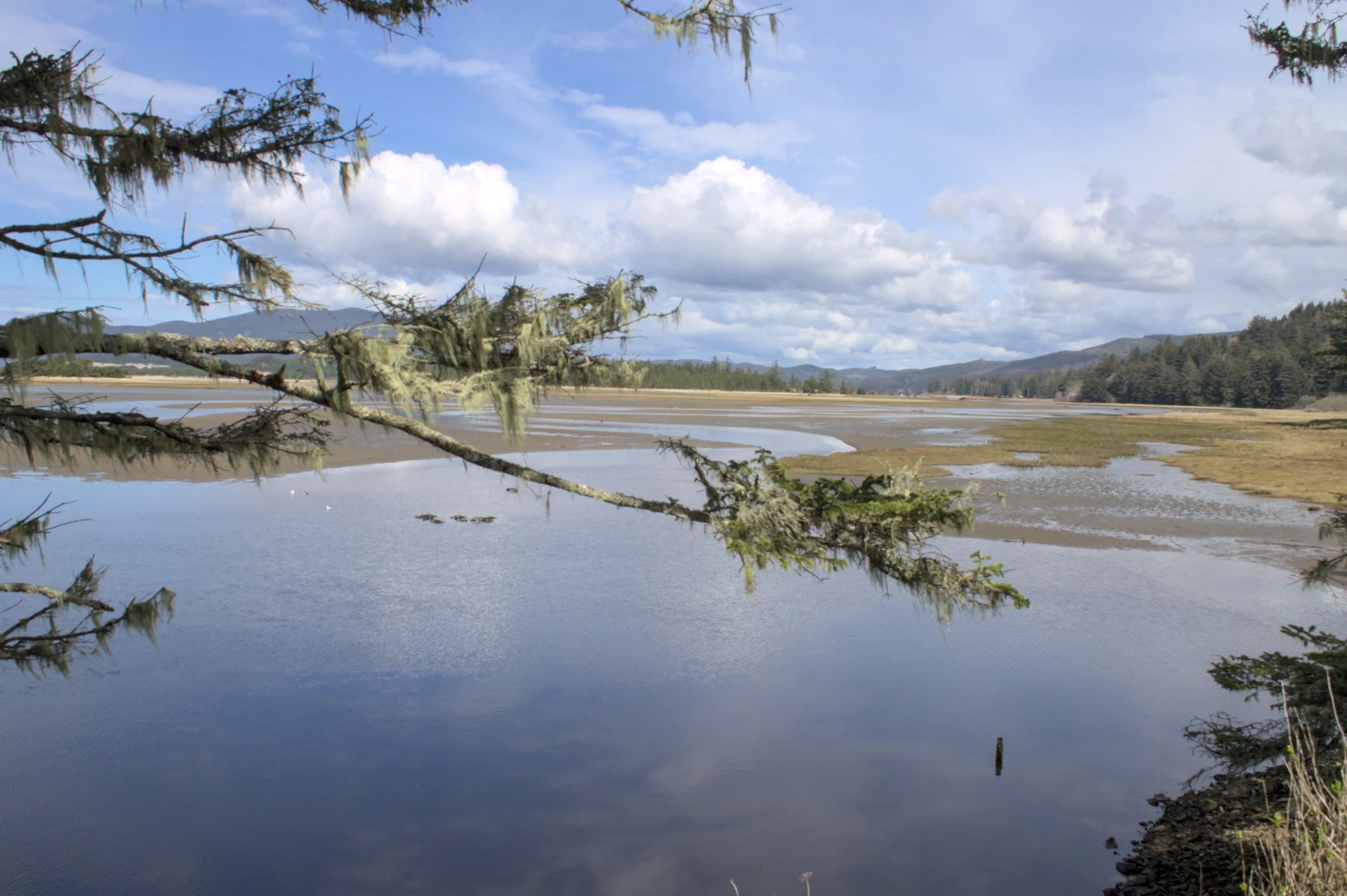 10 Stunning Secret Beaches on the Oregon Coast — Pines and Vines