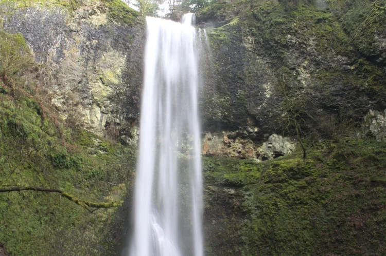 7 Incredible Waterfall Hikes at Silver Falls State Park — Pines and Vines