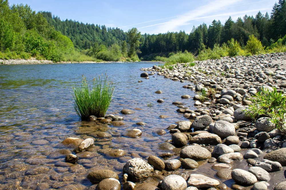 7 Fun Things to Do at Oxbow Regional Park — Pines and Vines