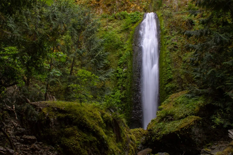 15 Hidden Gem Hikes near Portland — Pines and Vines