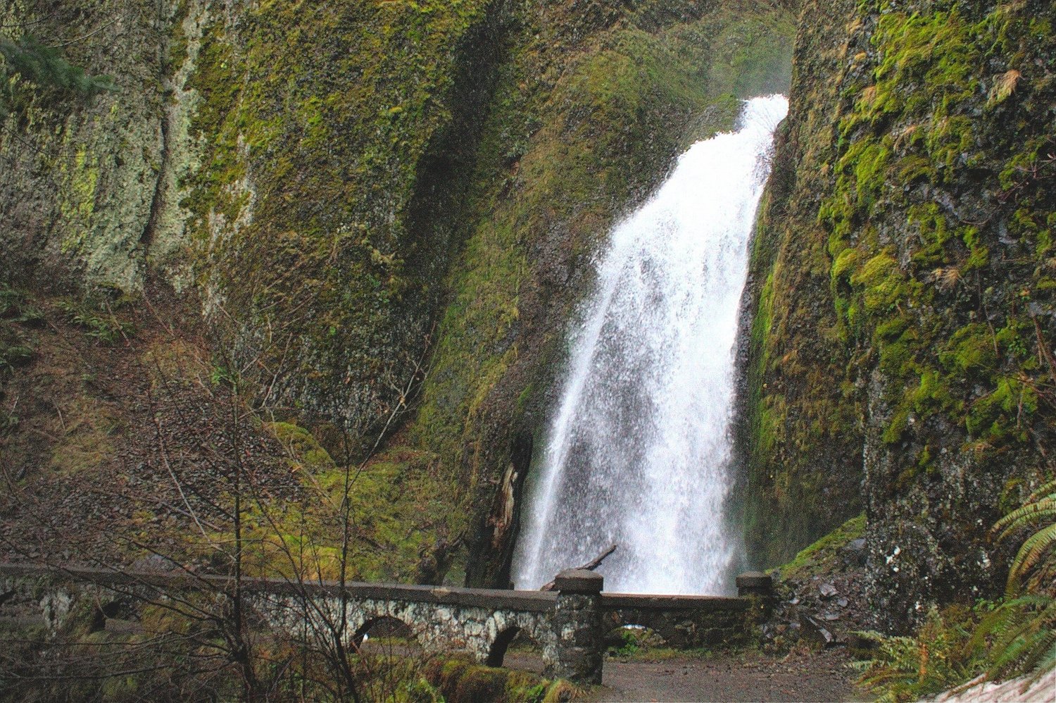 Multnomah Falls - Wahkeena Falls Loop Hike — Pines and Vines — Pines ...