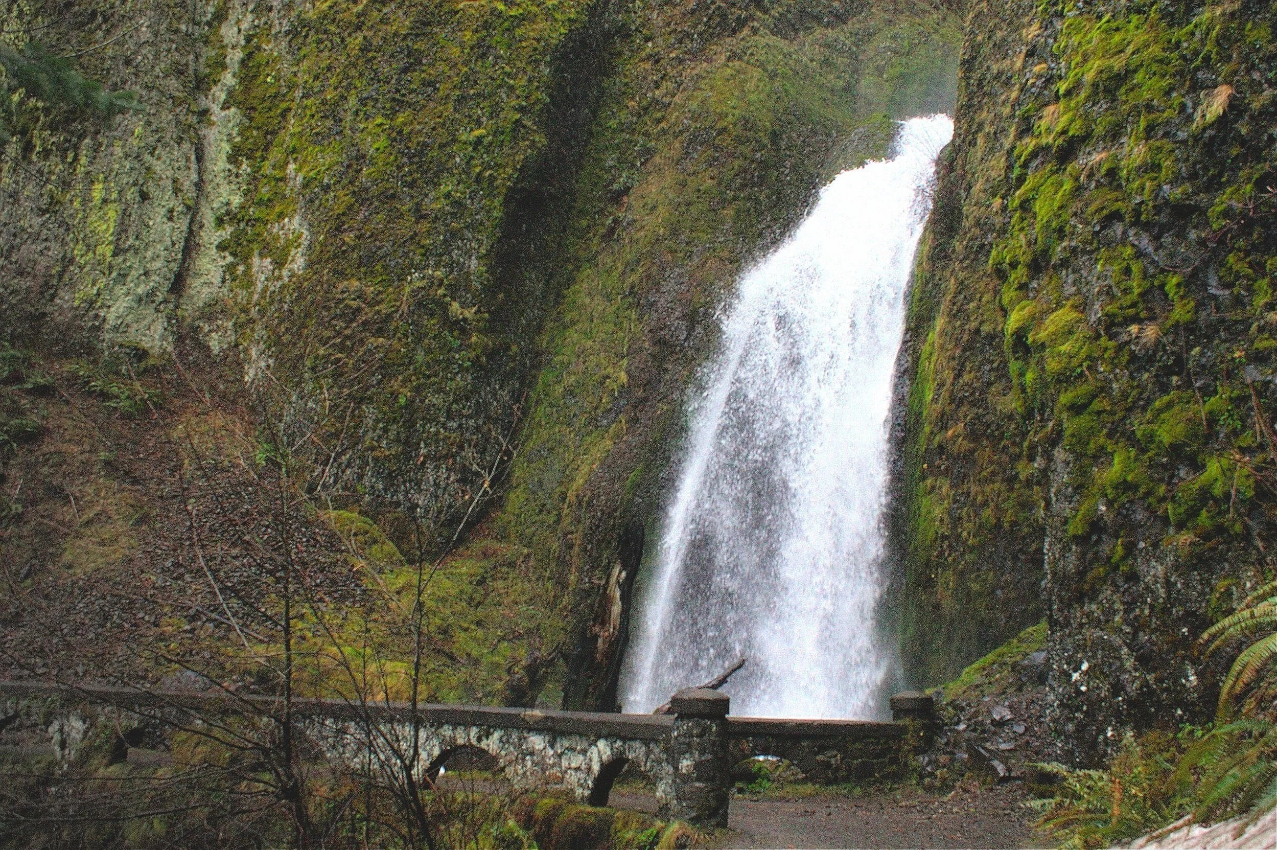 Multnomah Falls - Wahkeena Falls Loop Hike — Pines and Vines — Pines ...