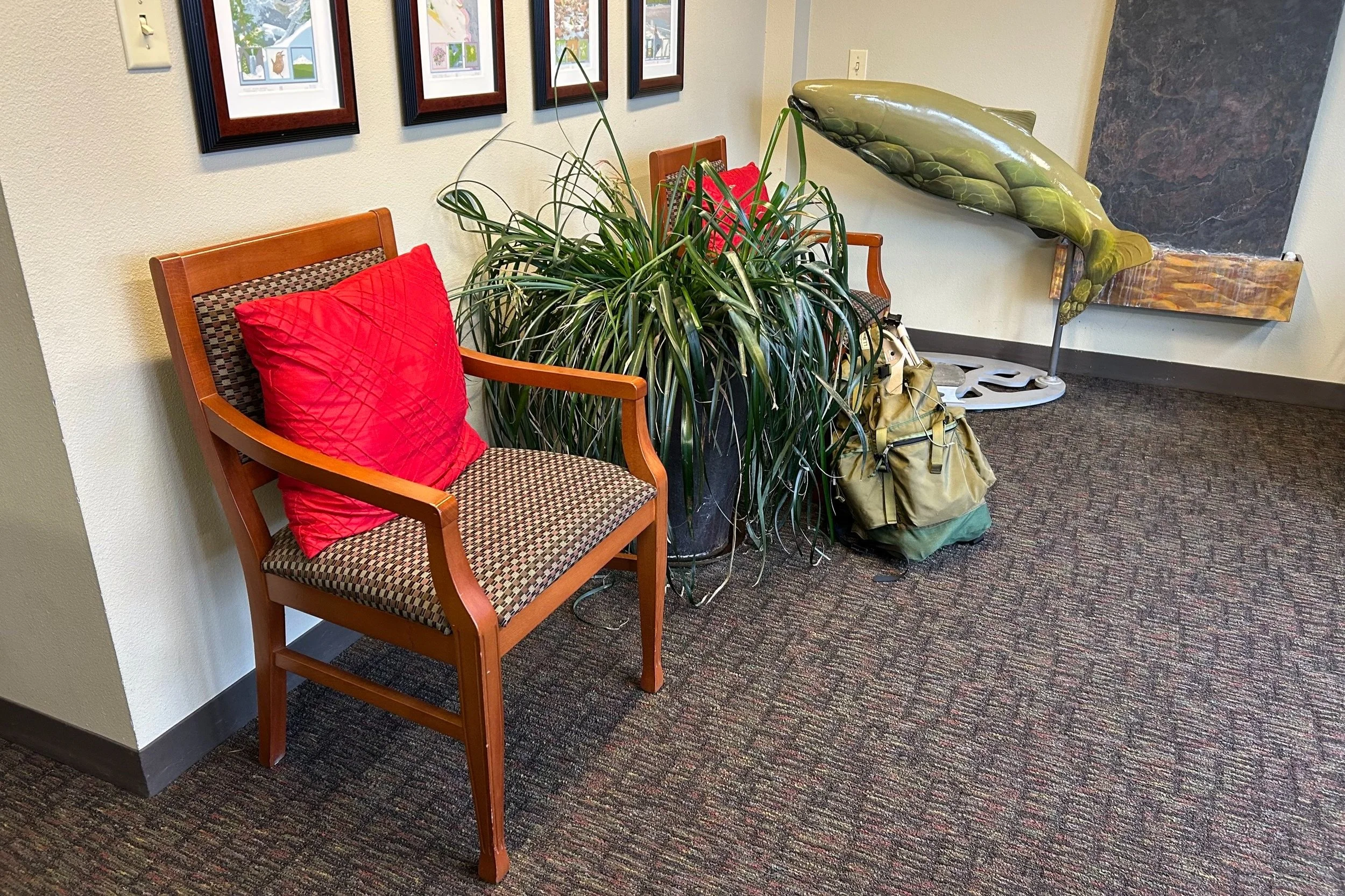 How to Take the Mt Hood Express to Timberline Lodge — Pines and Vines