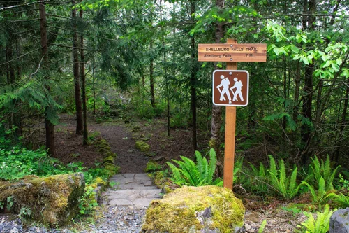 Hike the Shellburg Falls Trail [Reopened 2024] — Pines and Vines