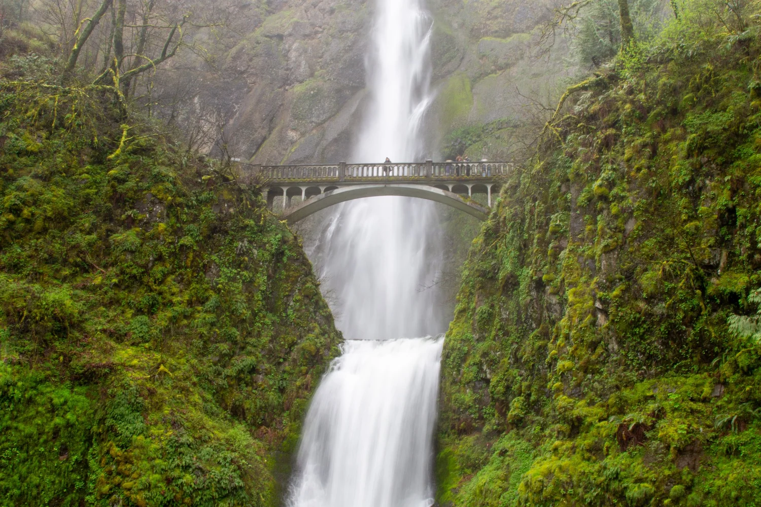 Multnomah Falls - Wahkeena Falls Loop Hike — Pines and Vines — Pines ...