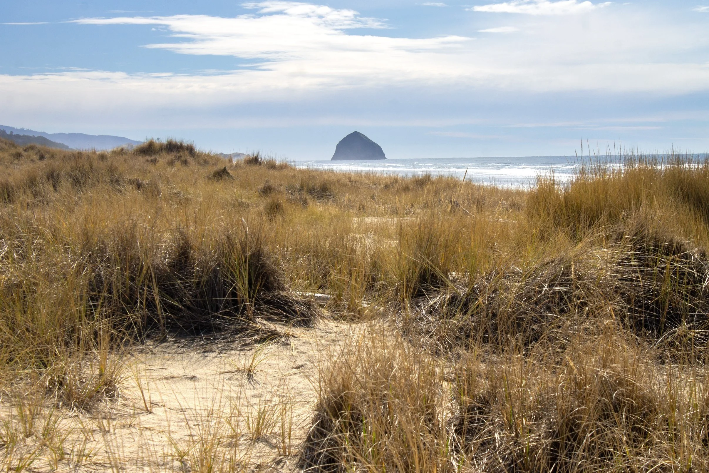 10 Stunning Secret Beaches on the Oregon Coast — Pines and Vines