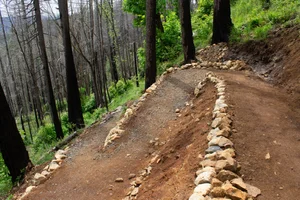Hike the Shellburg Falls Trail [Reopened 2024] — Pines and Vines