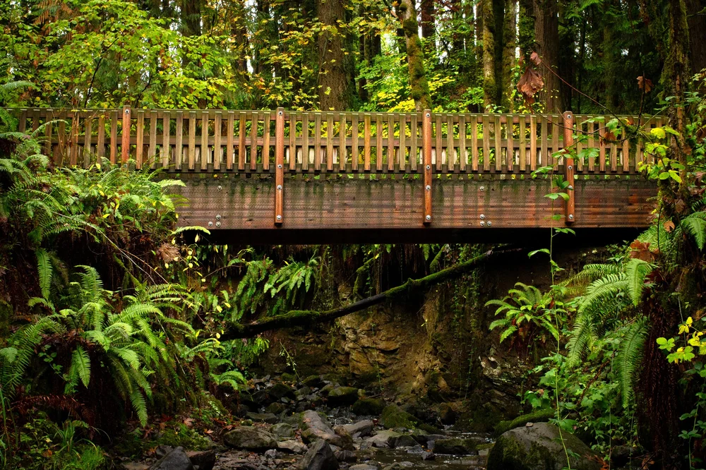 12 Beautiful Portland Parks for Hiking — Pines and Vines