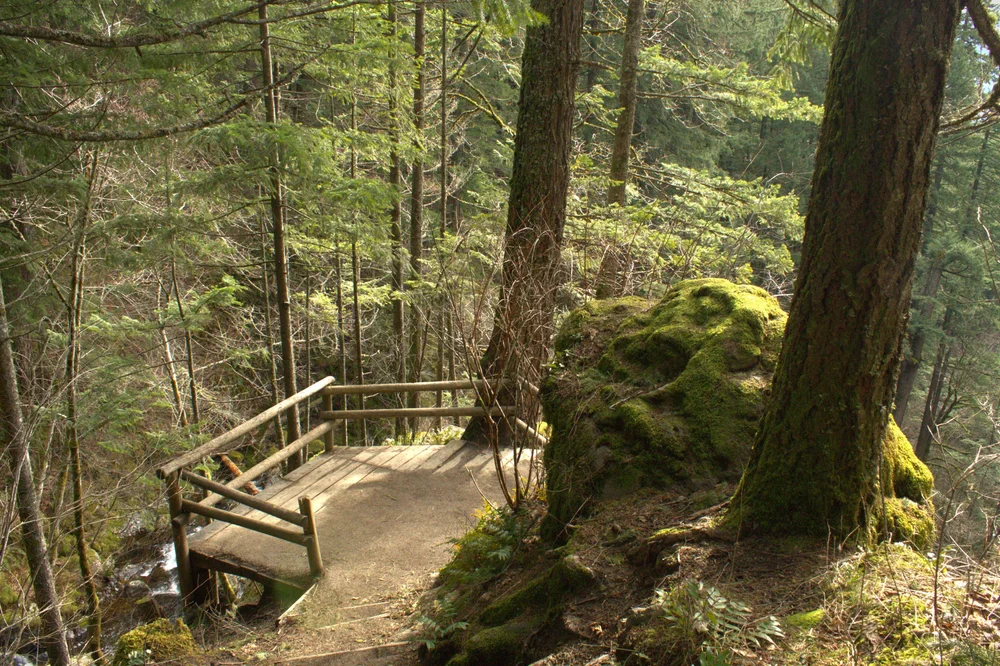 5 Great Hikes at Beacon Rock State Park — Pines and Vines