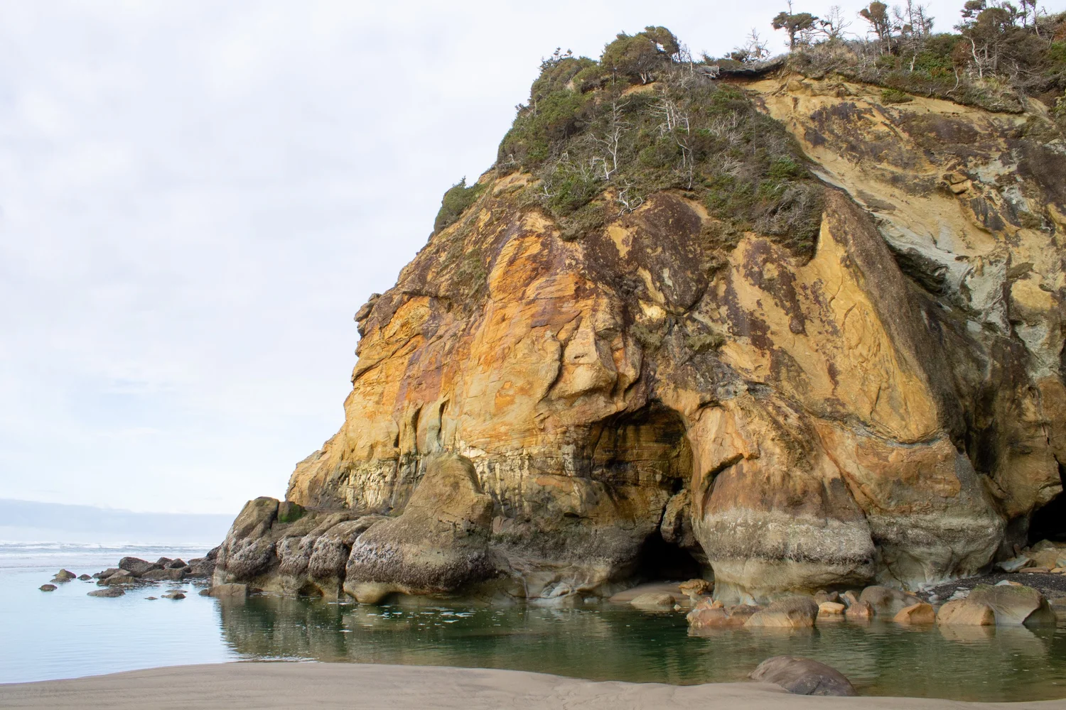Quick Guide to Hug Point — Pines and Vines