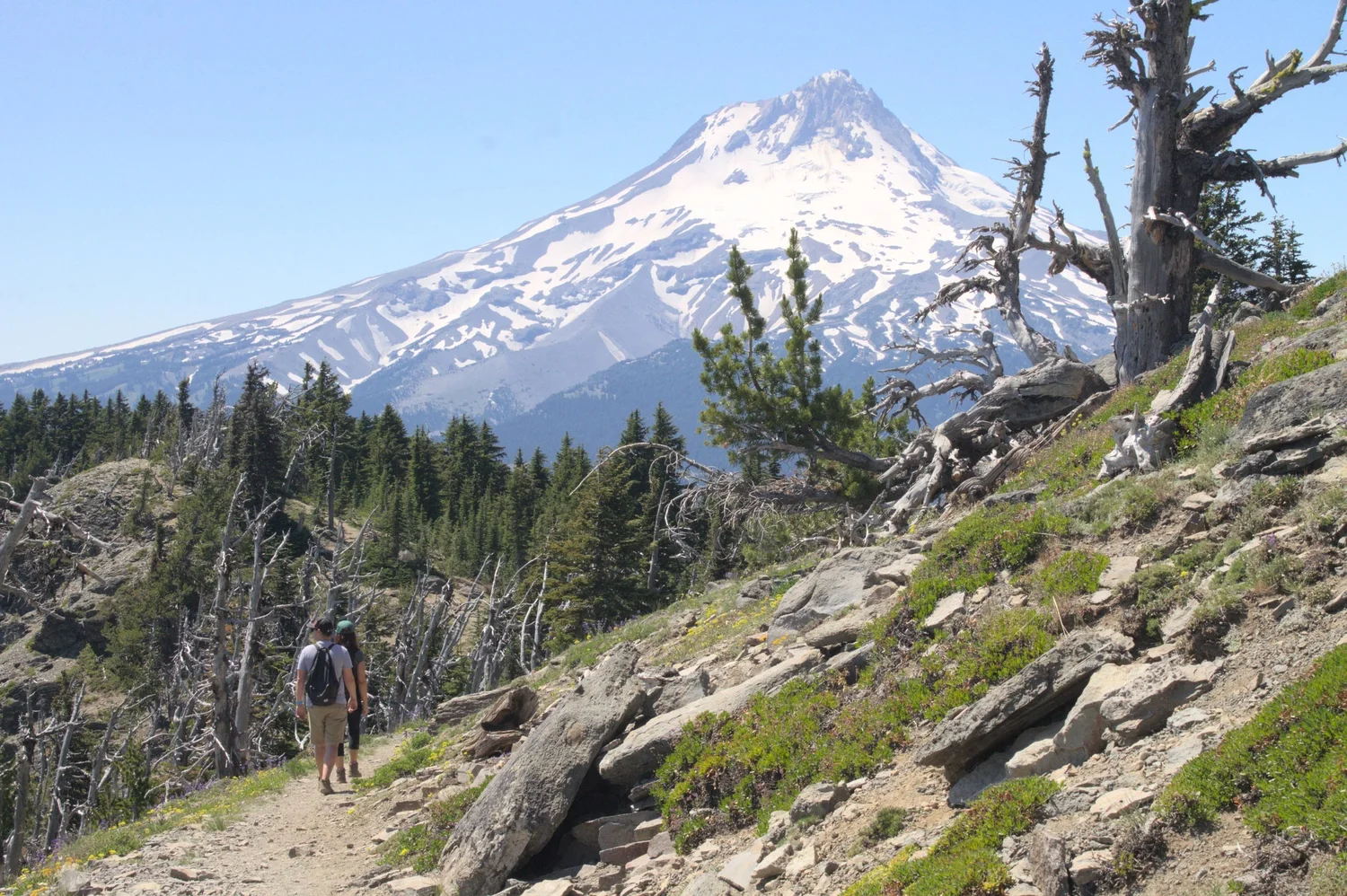 20 Unforgettable Weekend Trips from Portland — Pines and Vines