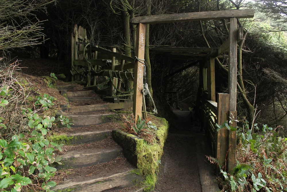 10 Stunning Secret Beaches on the Oregon Coast — Pines and Vines