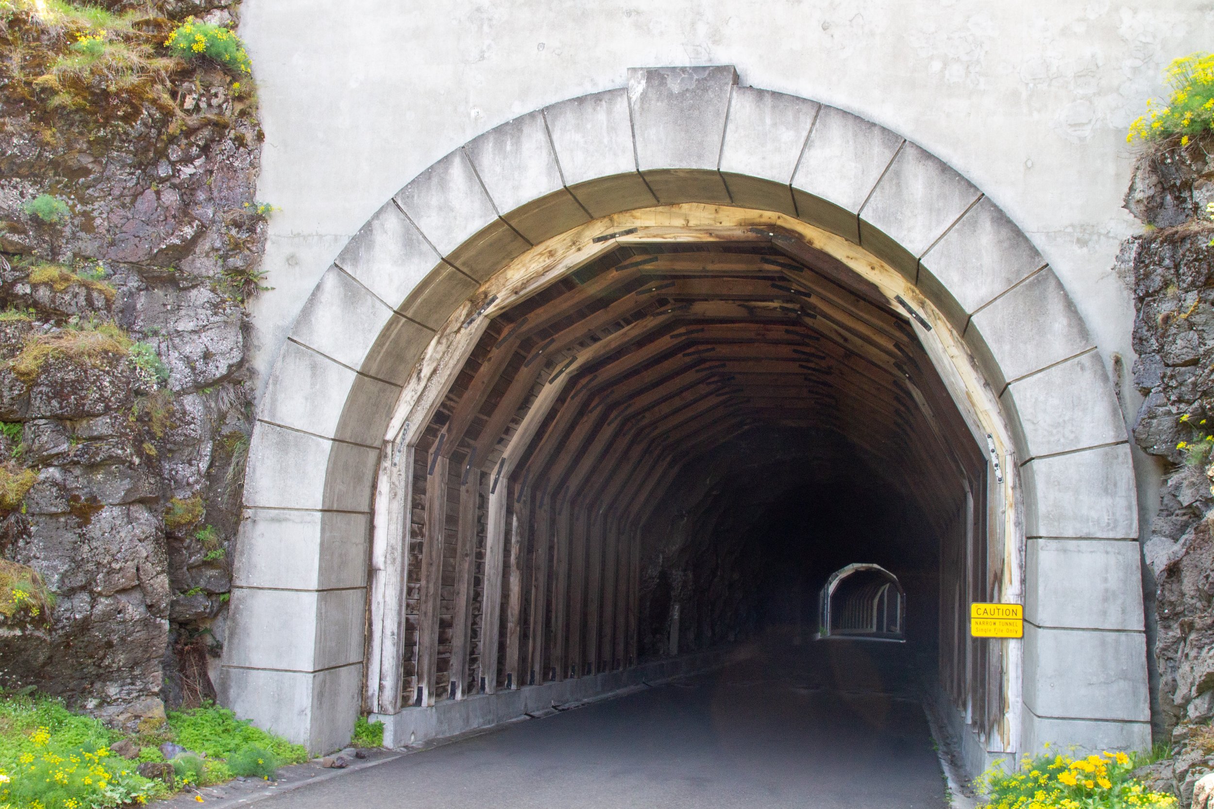 Explore the Mosier Twin Tunnels — Pines and Vines