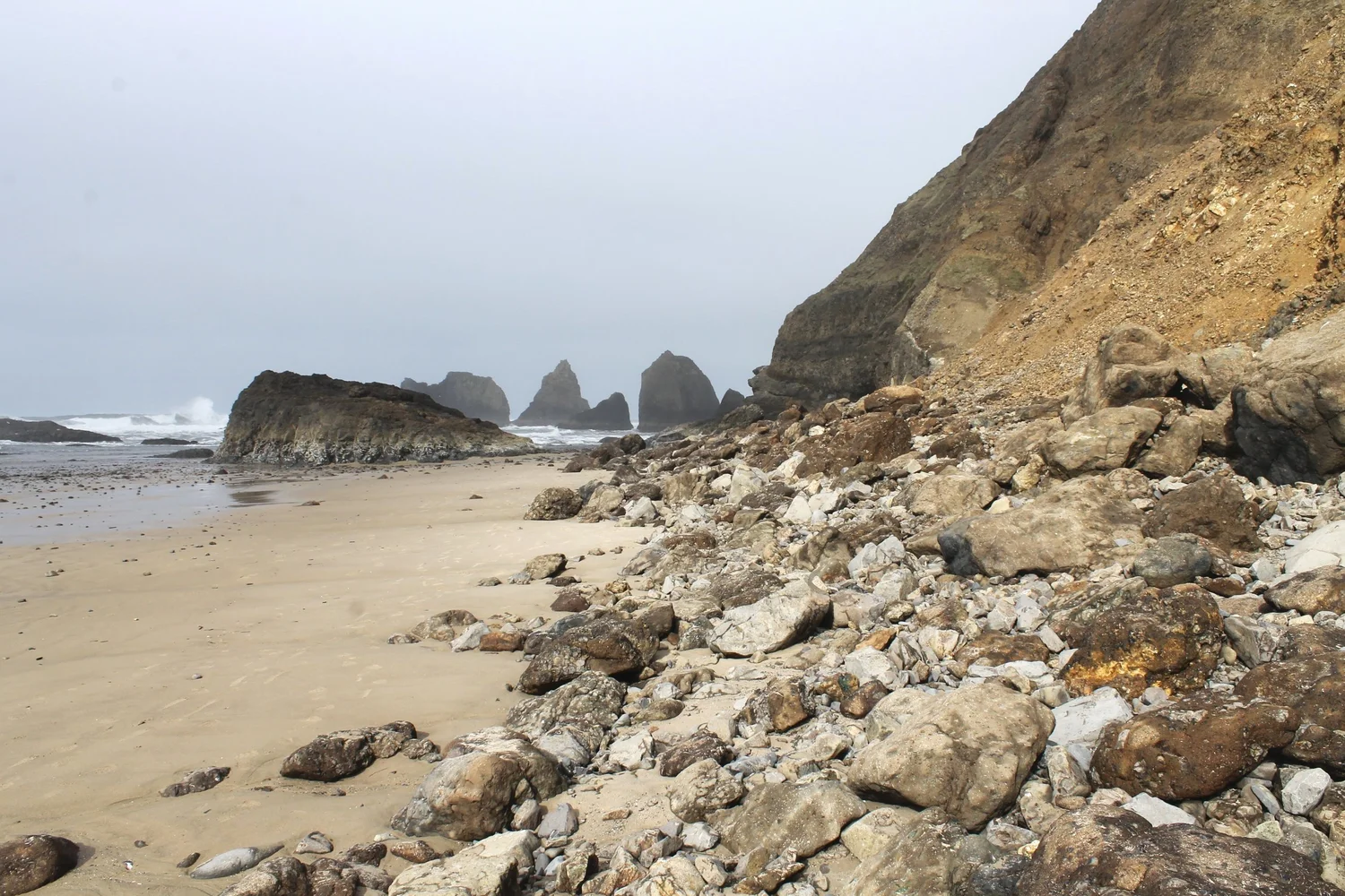 20 Best Oregon Coast Beaches to See Tidepools — Pines and Vines