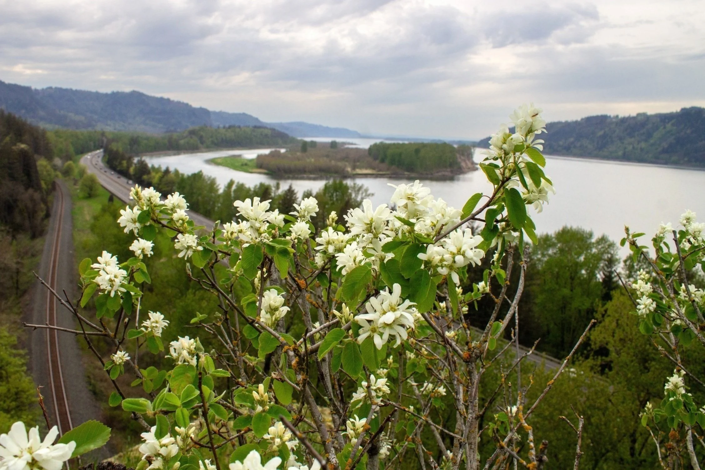 20 Best Waterfall Hikes Near Portland — Pines and Vines