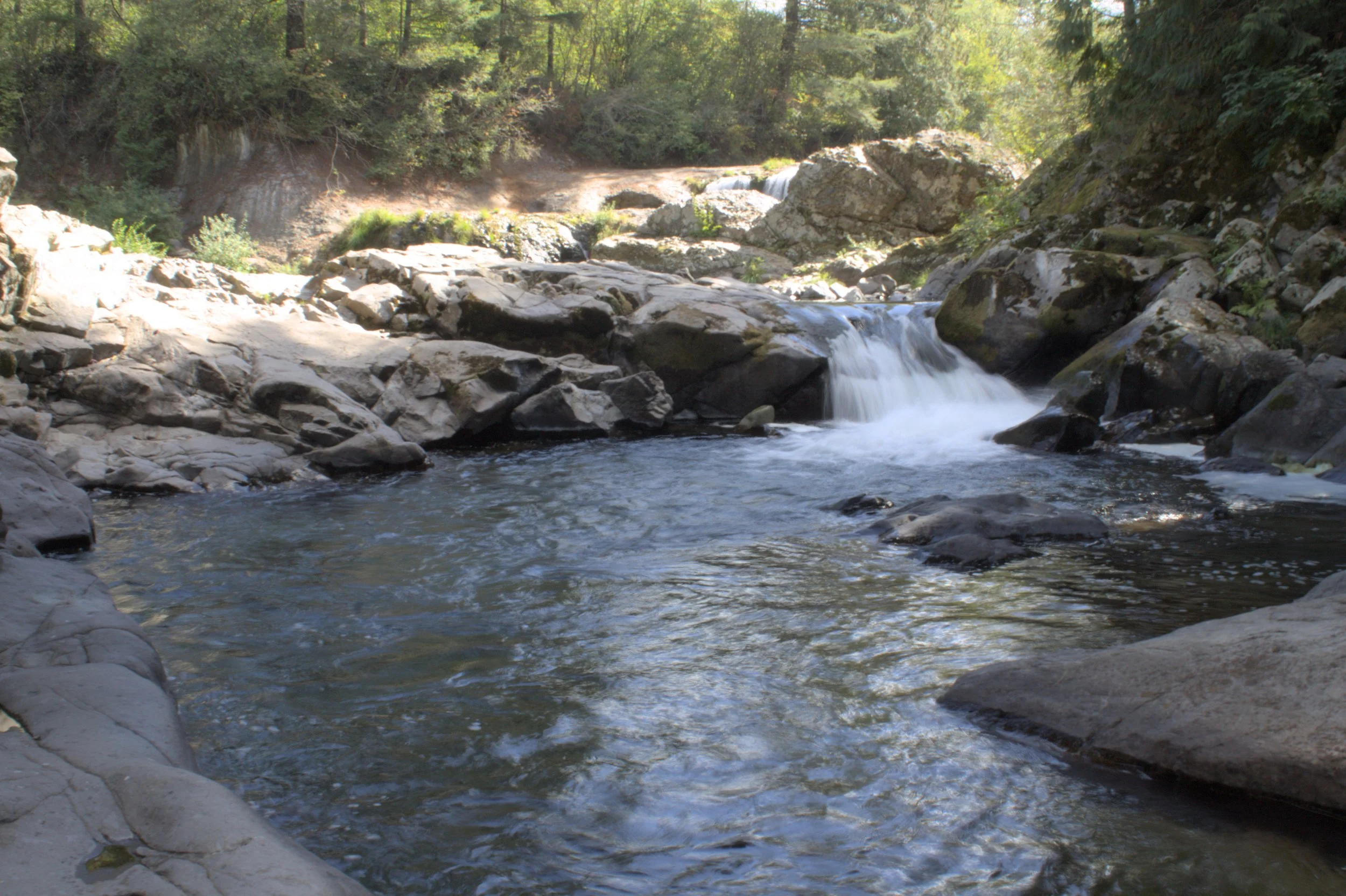 Quick Guide to Visiting Dougan Falls — Pines and Vines