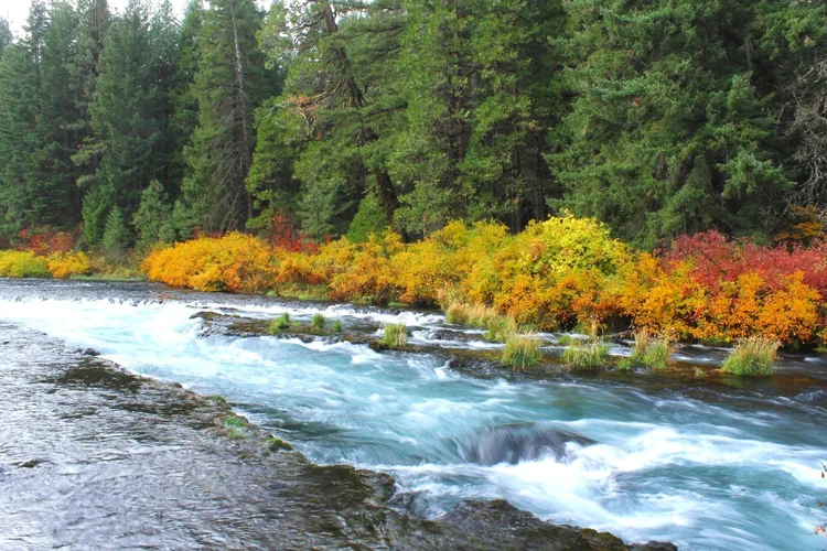 Sisters, Oregon: Epic 1-Day Itinerary — Pines and Vines — Pines and Vines