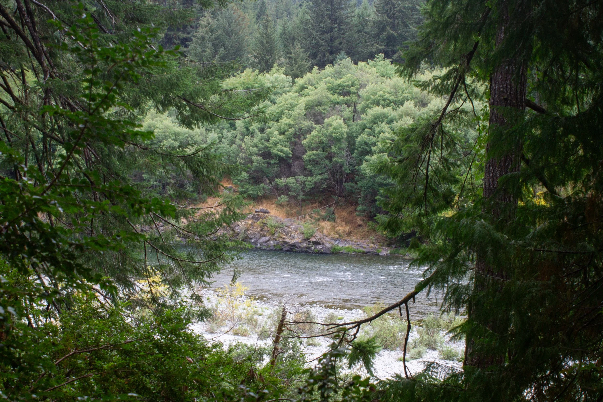 Quick Guide to Jedediah Smith Redwoods State Park — Pines and Vines