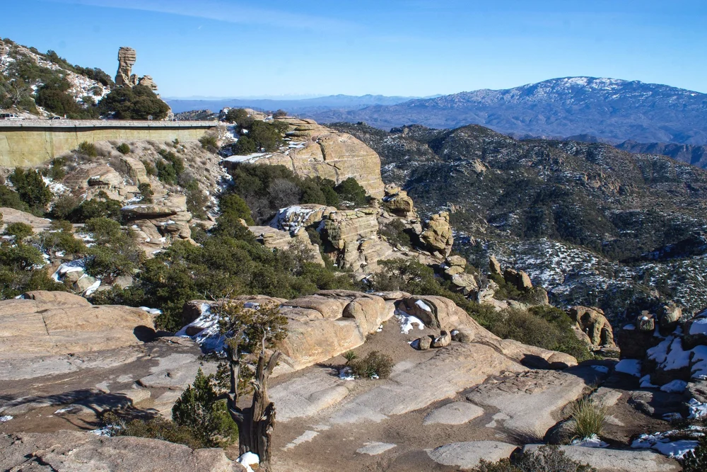 Quick Guide to Visiting Tucson, AZ, in the Winter — Pines and Vines