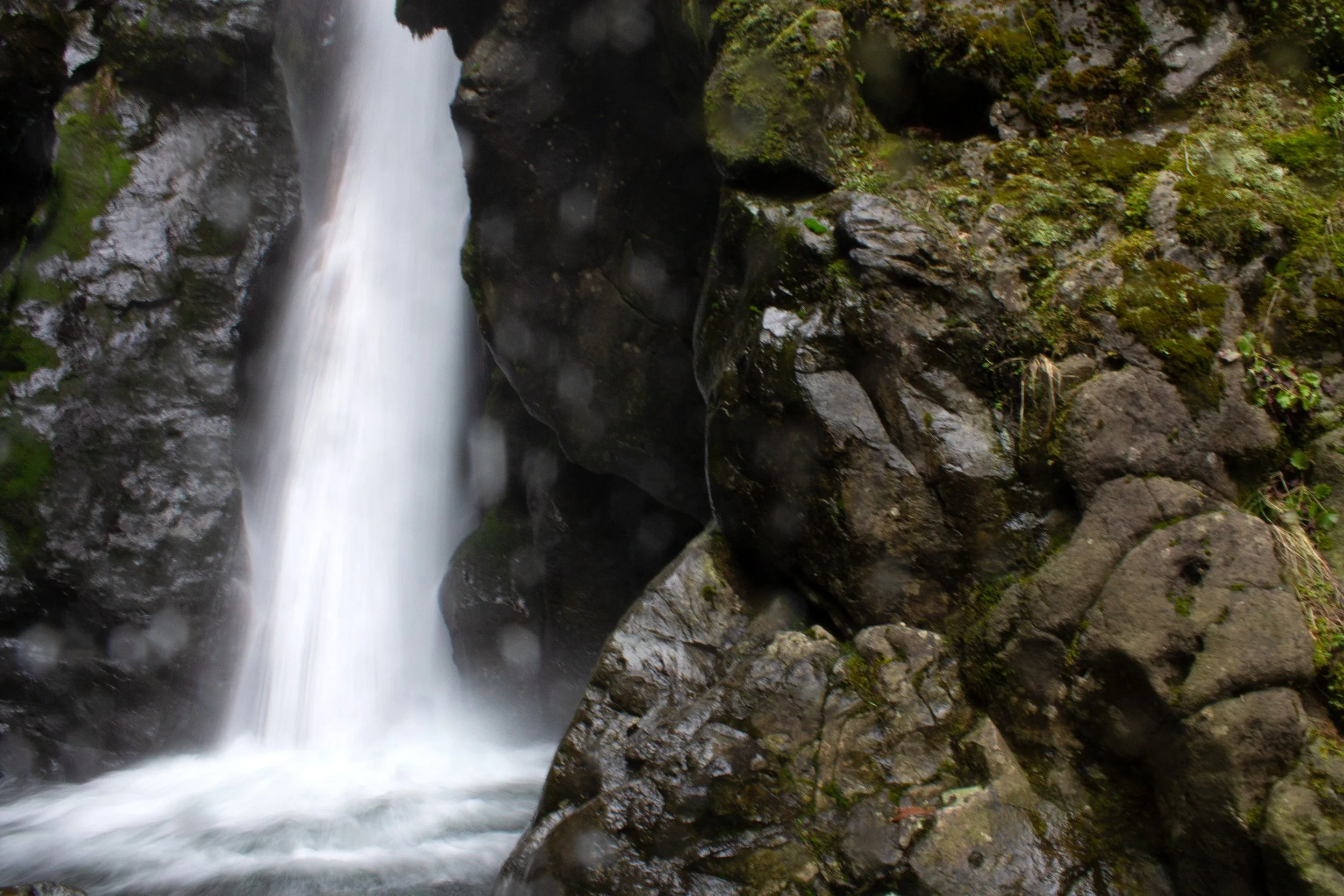10 Best Waterfalls in Washington’s Columbia Gorge — Pines and Vines