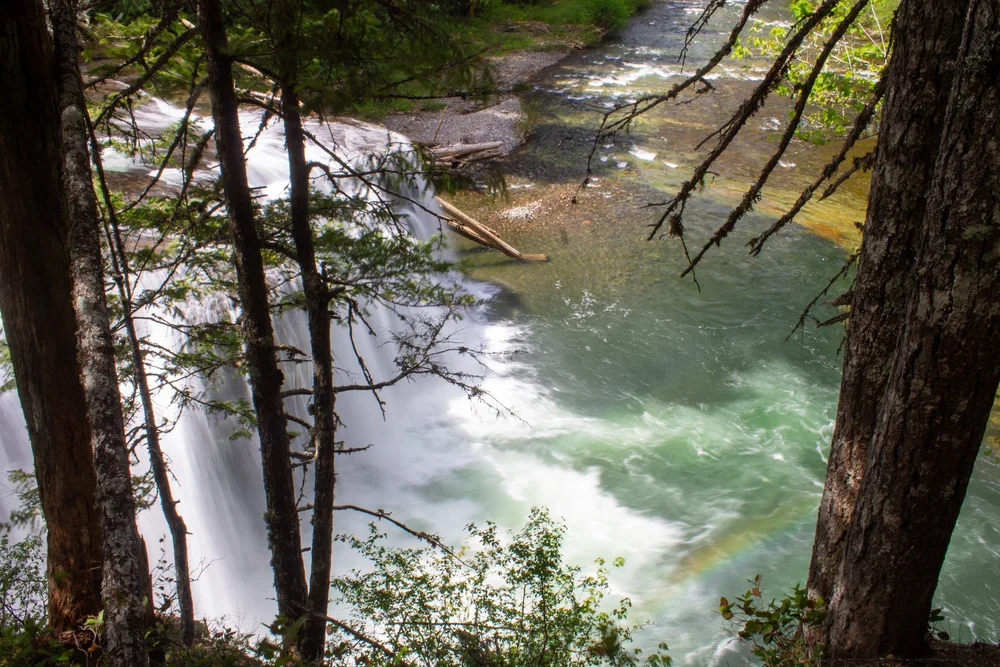 The Lewis River’s Magnificent Waterfalls — Pines and Vines