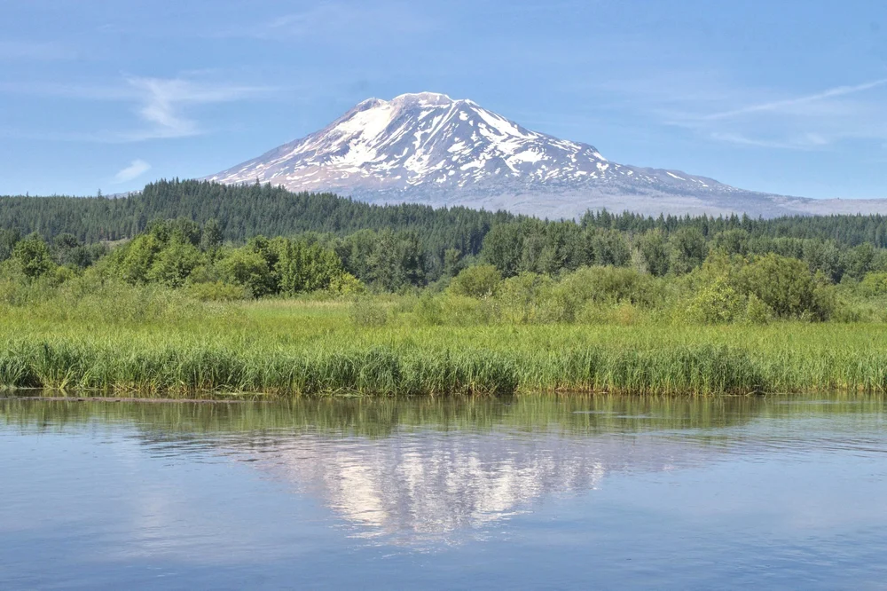 7 Fun Things to Do Near Mount Adams — Pines and Vines
