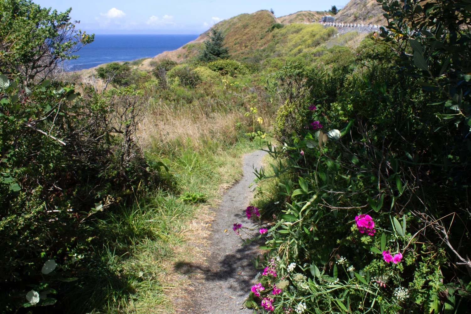 Quick Guide to Sisters Rock State Park on the Oregon Coast — Pines and ...