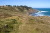 Cape Blanco State Park: Quick Visitor's Guide — Pines and Vines