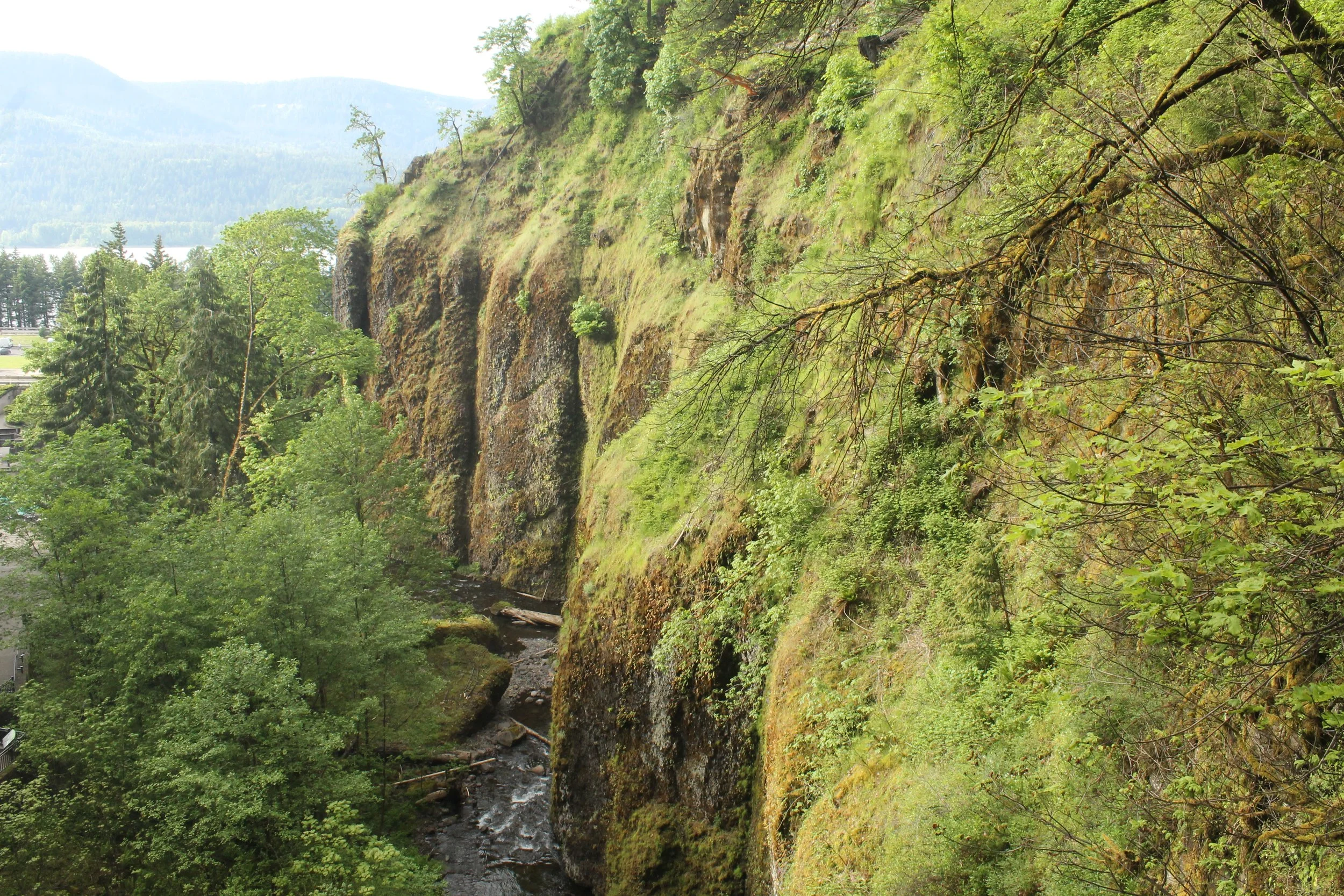 How to Use the Multnomah Falls Timed Entry Permit System in 2023 ...