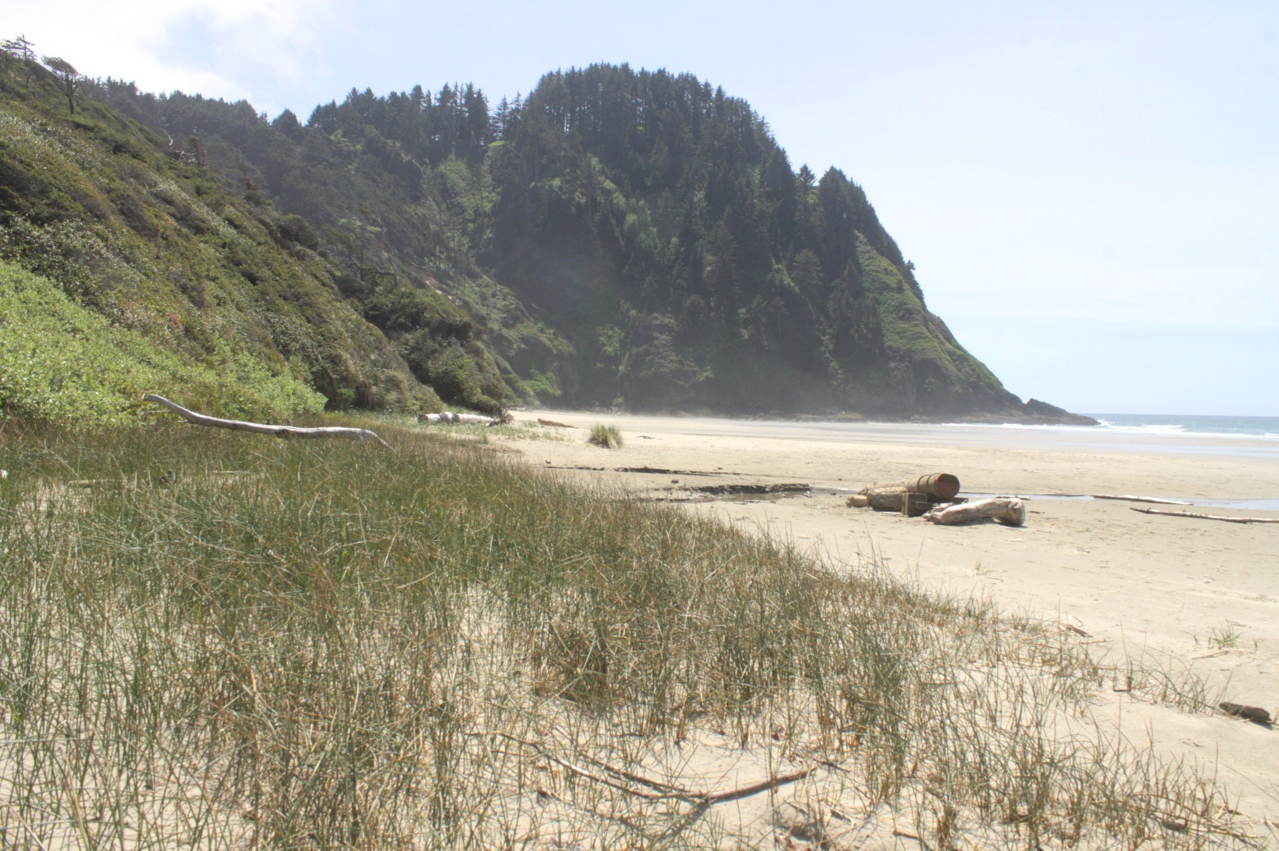 How to Hike to Heceta Head Lighthouse — and Beyond! — Pines and Vines